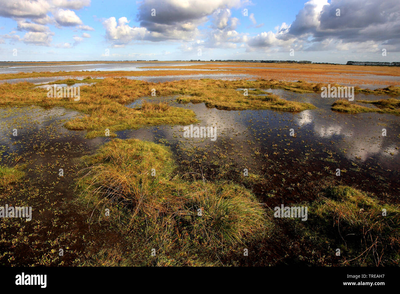 Slikken van Flakkee , Netherlands, South Holland Stock Photo - Alamy