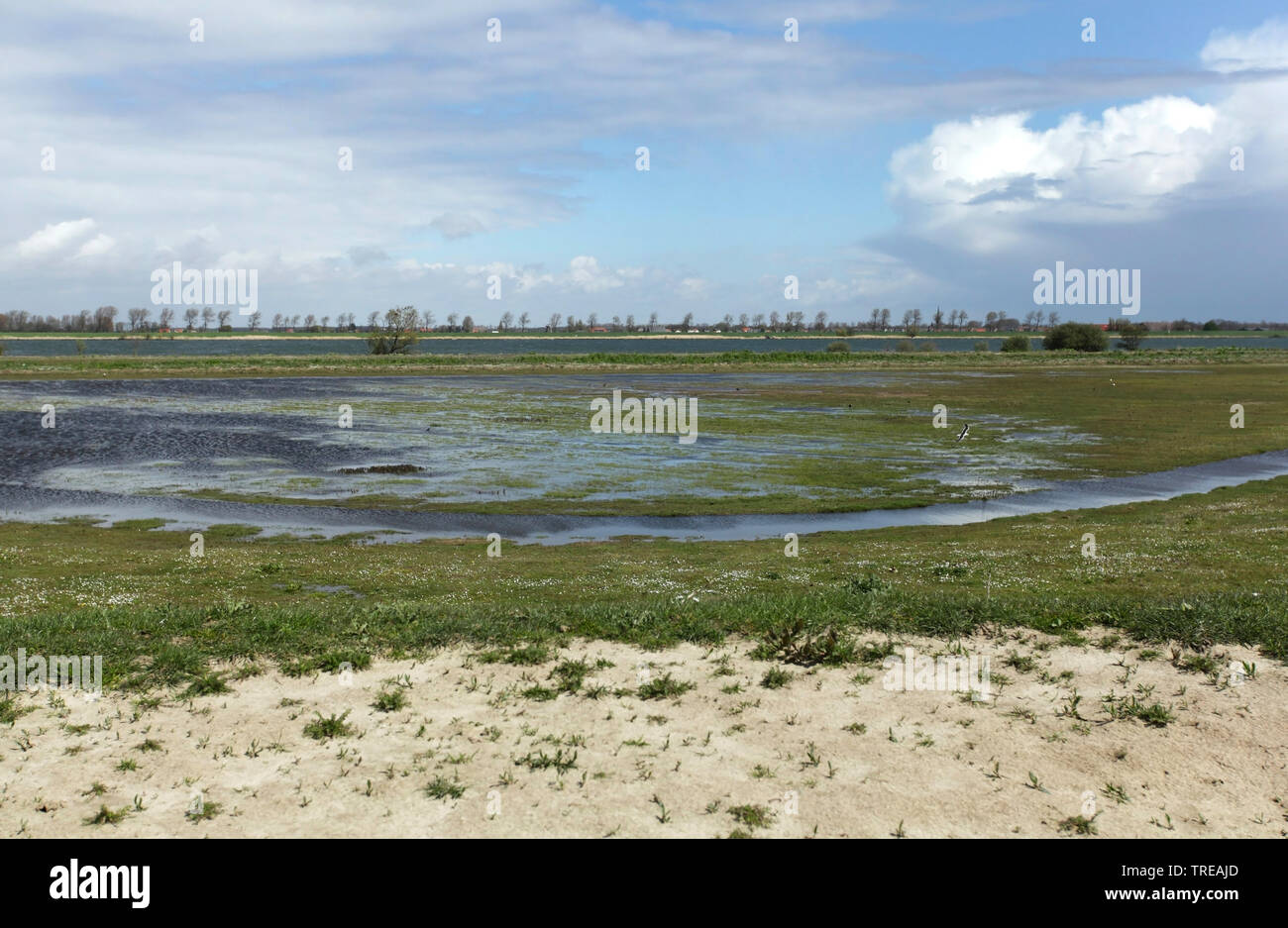 landscape Hoeksche Waard, Netherlands, South Holland, Tiengemeten ...