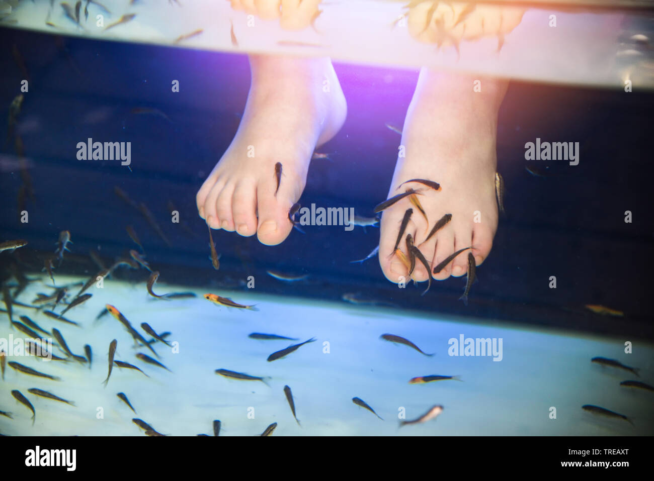 Fish foot bath High Resolution Stock Photography and Images - Alamy