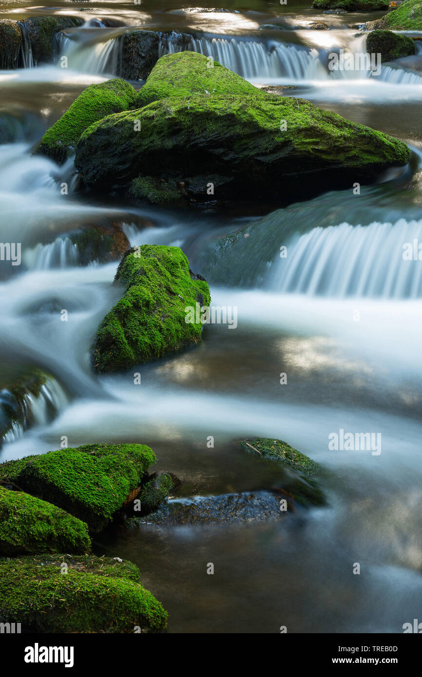 Bohemian forest hi-res stock photography and images - Alamy