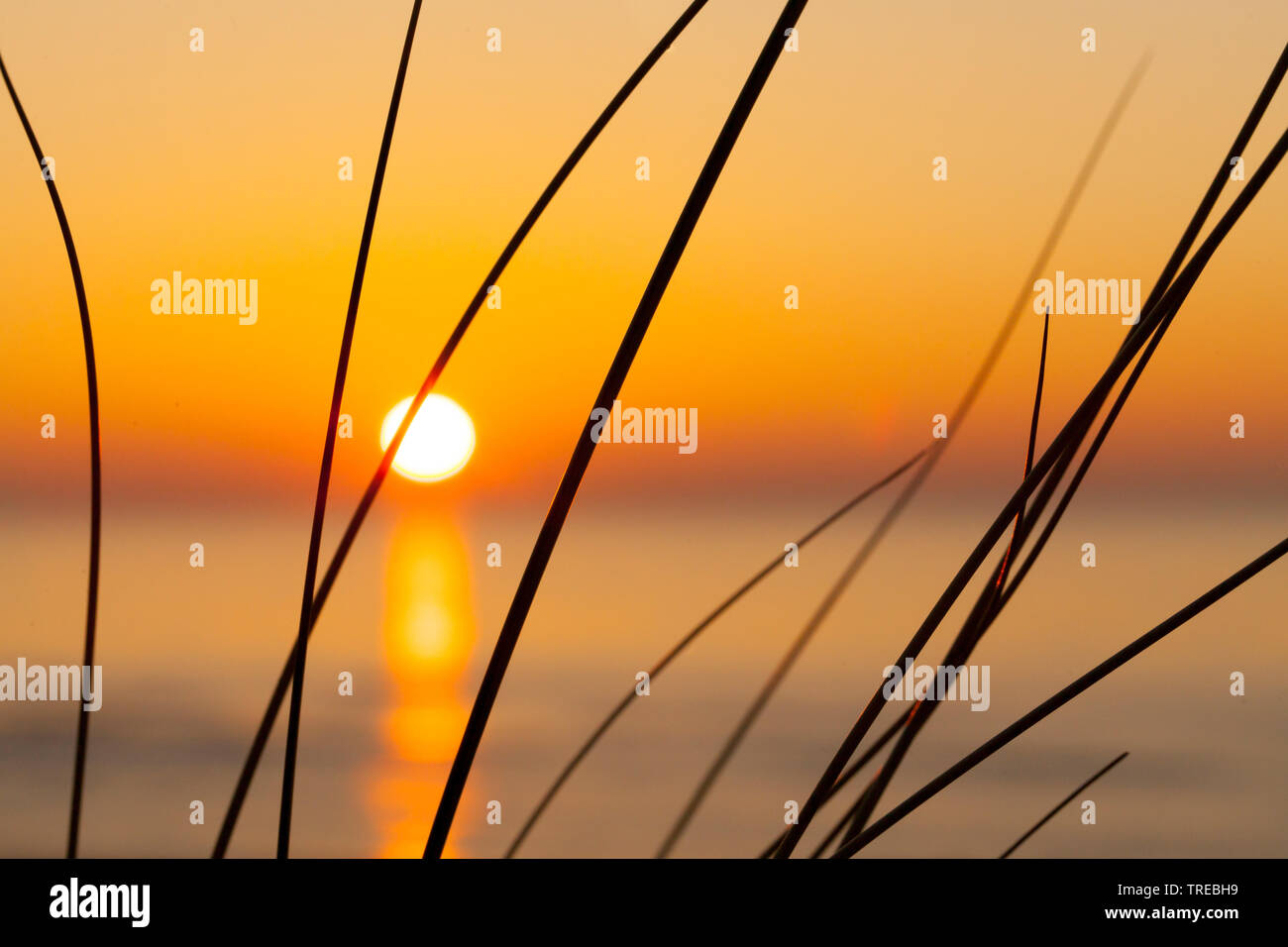 Dutch dunes sunset hi-res stock photography and images - Alamy