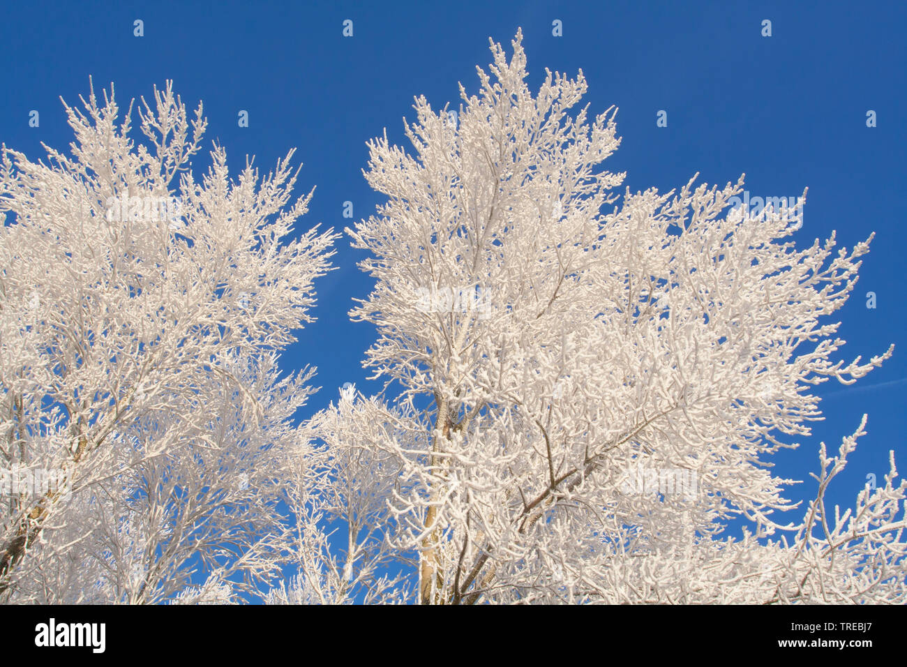 Blue sky netherlands hi-res stock photography and images - Alamy