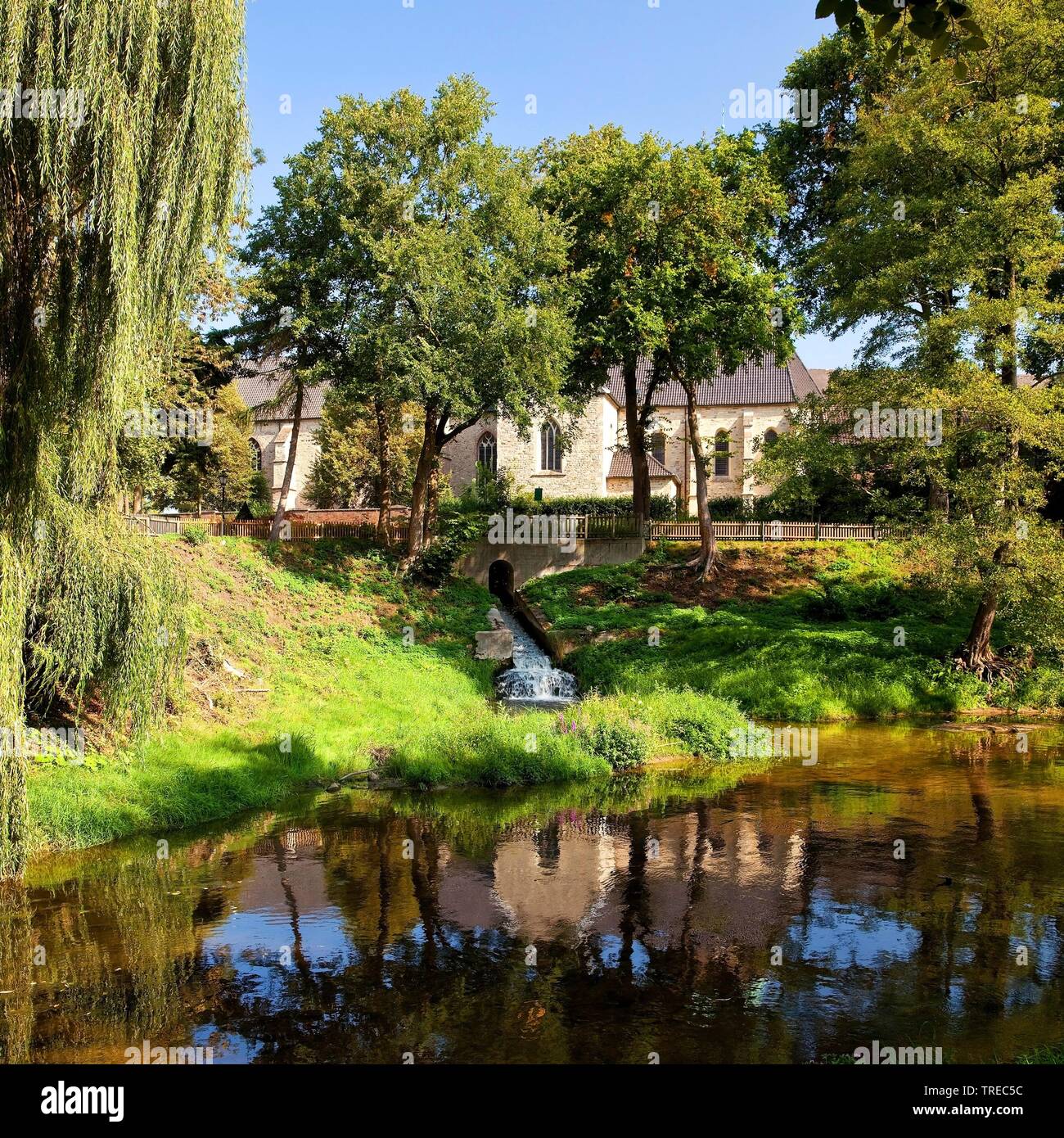 municipal park and river Berkel, Germany, North Rhine-Westphalia ...