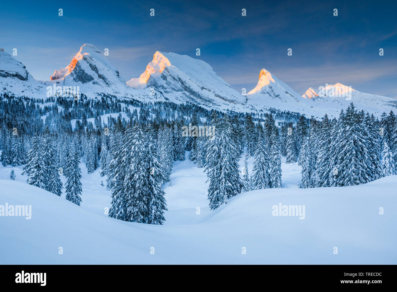 Toggenburg hi-res stock photography and images - Alamy