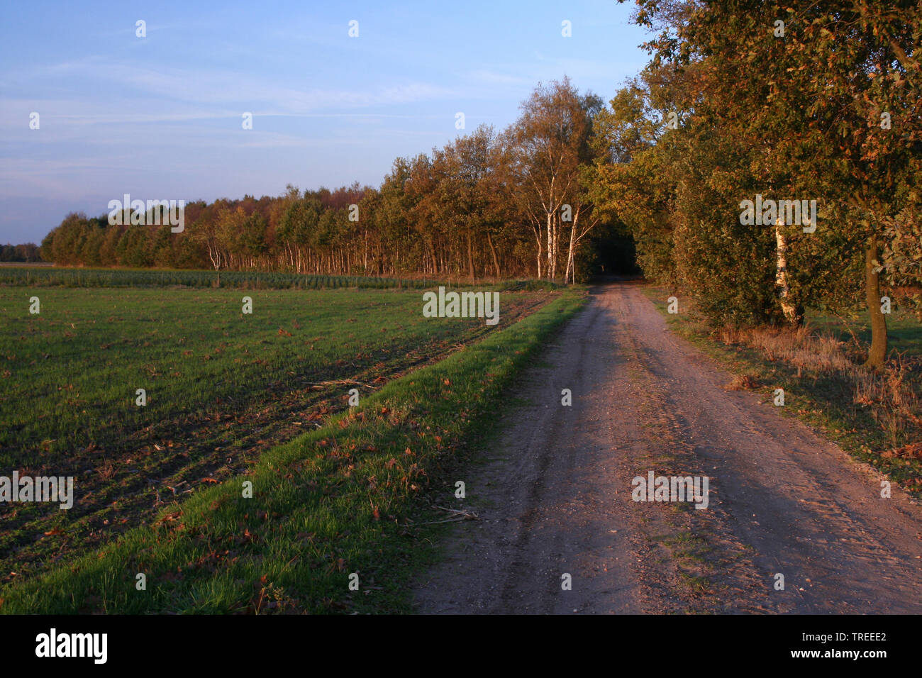 region Duc de Brabant, Netherlands Stock Photo - Alamy