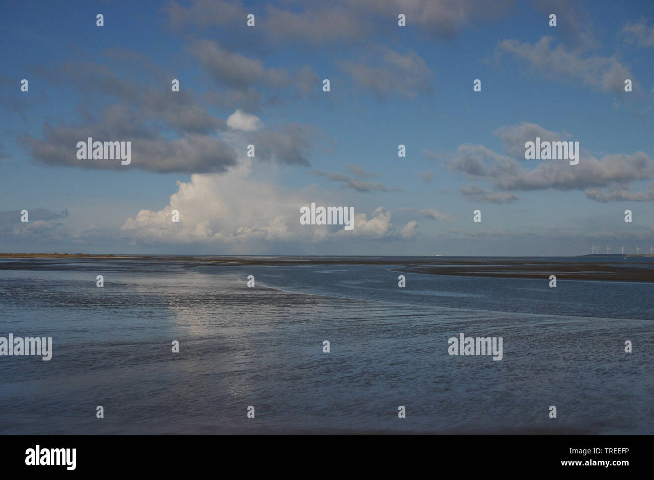 Haringvliet hi-res stock photography and images - Alamy