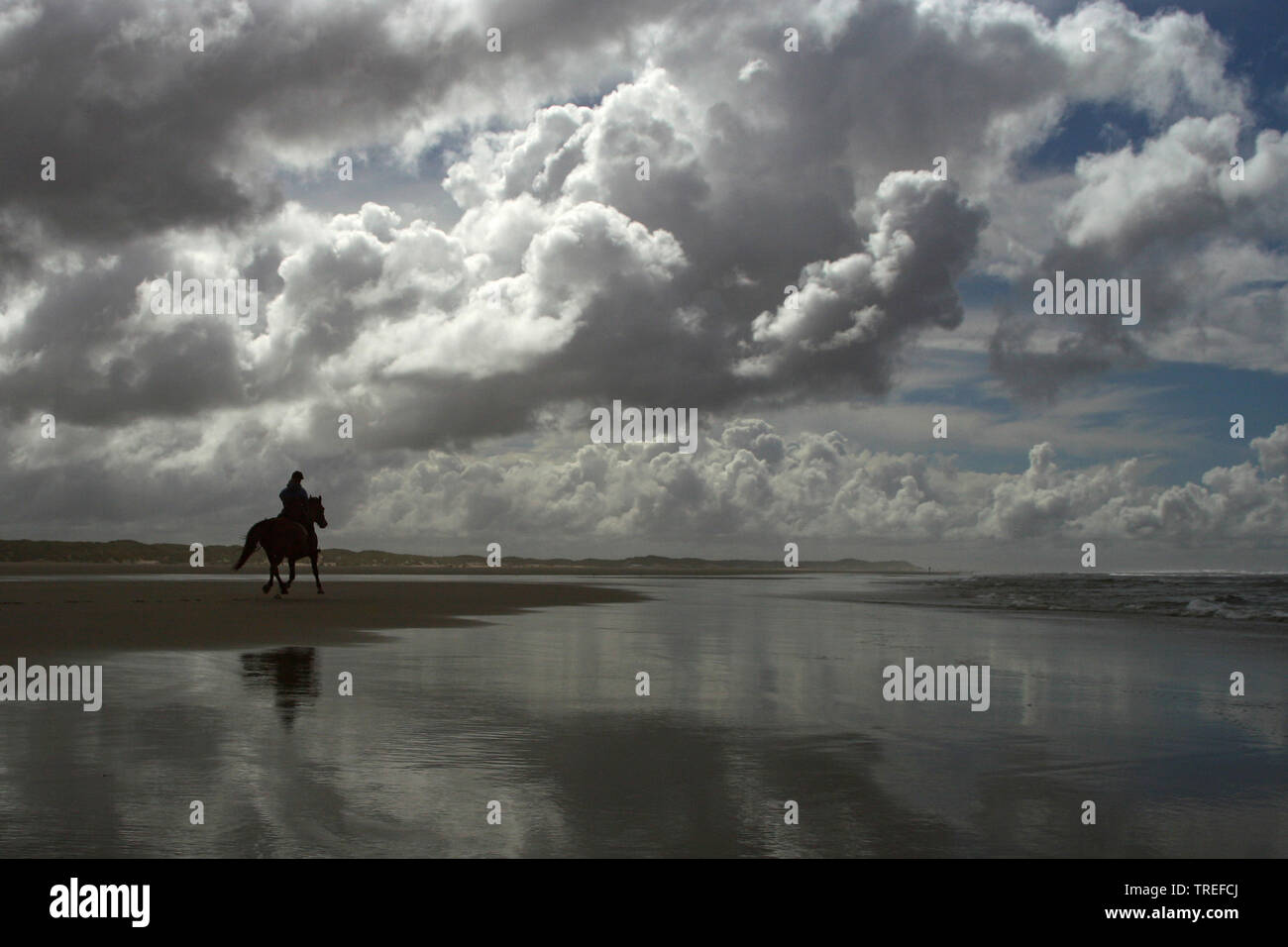 Beach on Terschelling, Netherlands, Terschelling Stock Photo - Alamy
