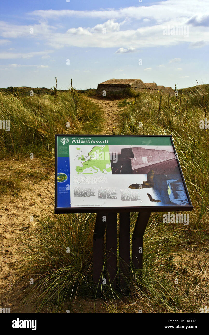 Atlantic wall hi-res stock photography and images - Alamy
