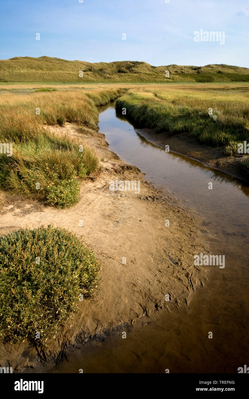 marsh meadows De Slufter with tide way, Netherlands, Texel, De Slufter ...