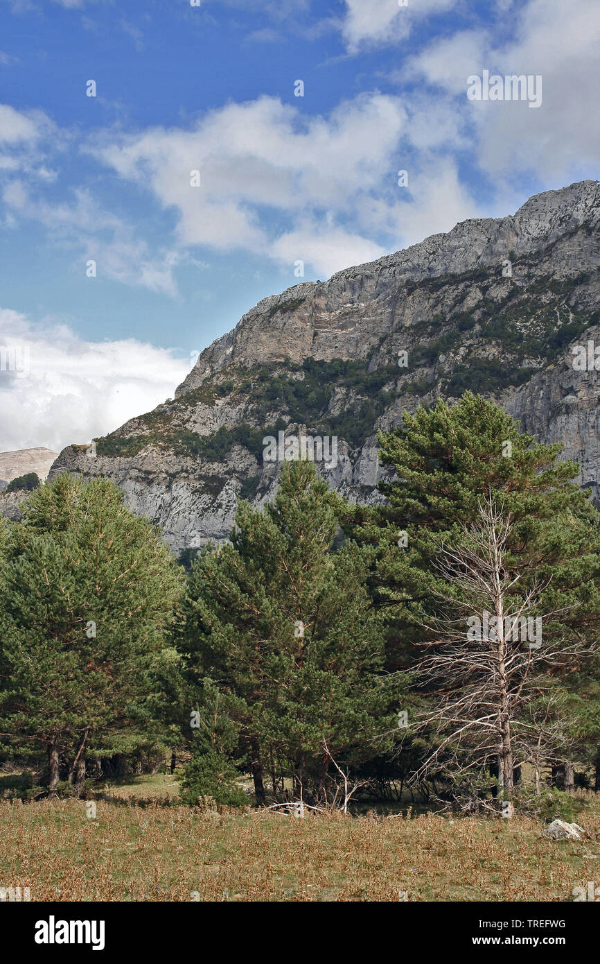 Spanish Pyrenees at Hecho, Spain, Pyrenees, Hecho Stock Photo - Alamy