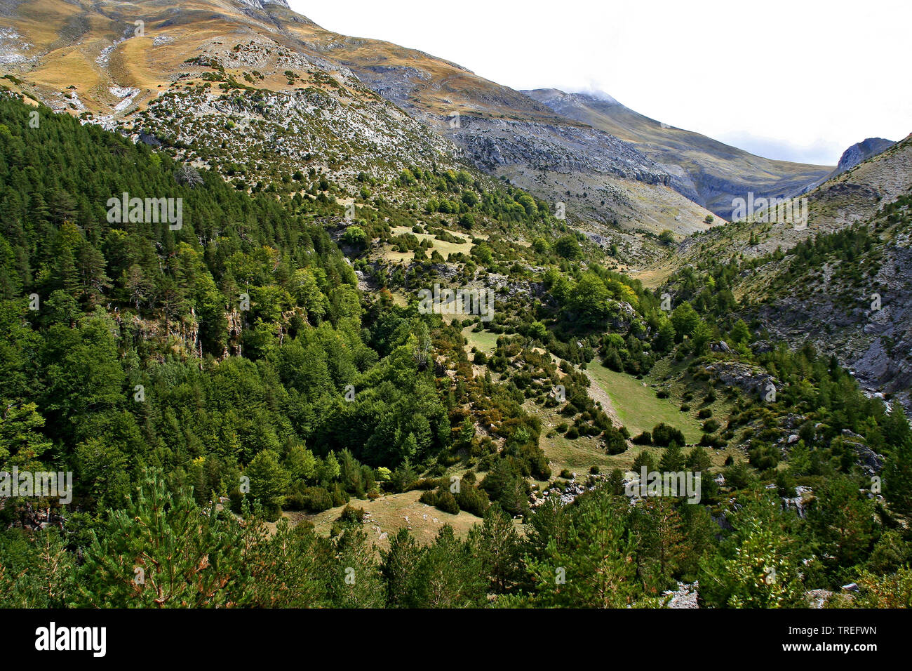 Spanish Pyrenees at Hecho, Spain, Pyrenees, Hecho Stock Photo - Alamy