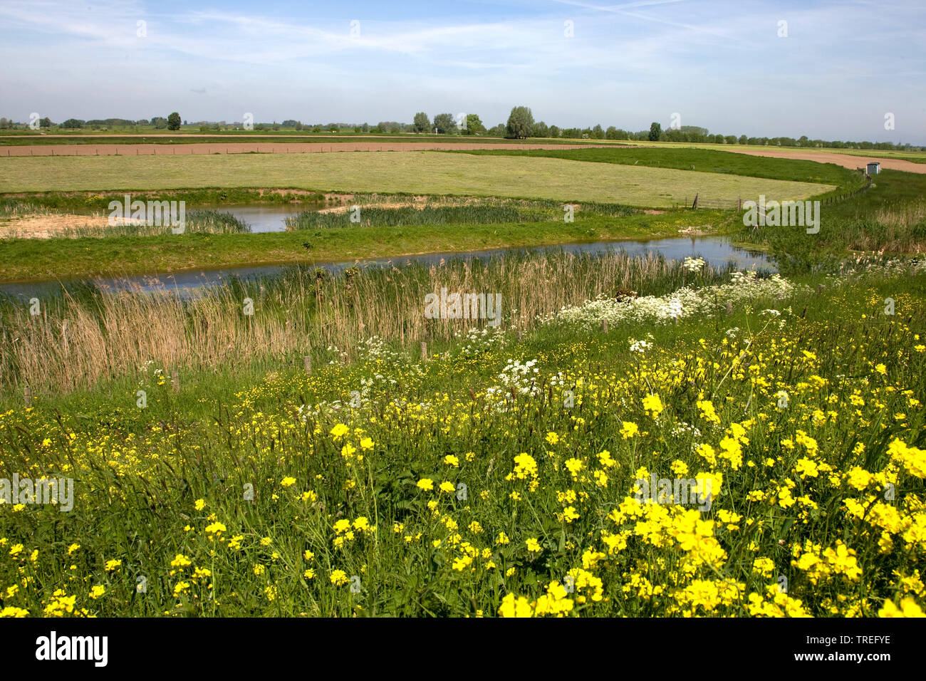 Arable field pond hi-res stock photography and images - Alamy