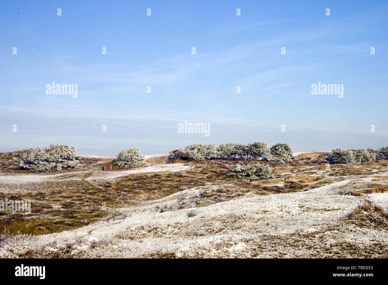 Dunes with frost areas hi-res stock photography and images - Alamy