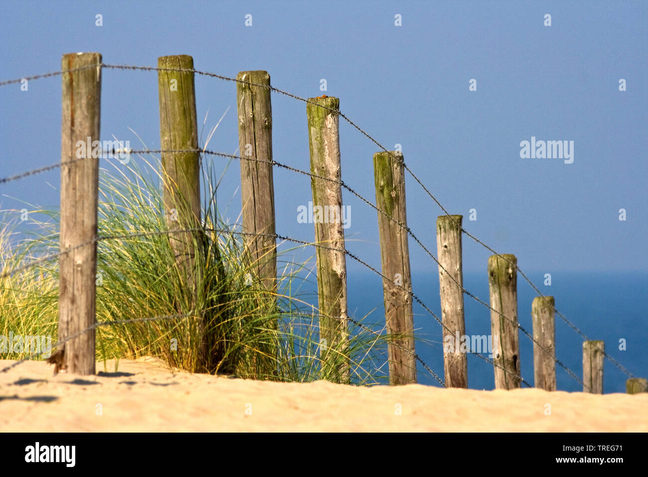 North sea sandy path hi-res stock photography and images - Alamy
