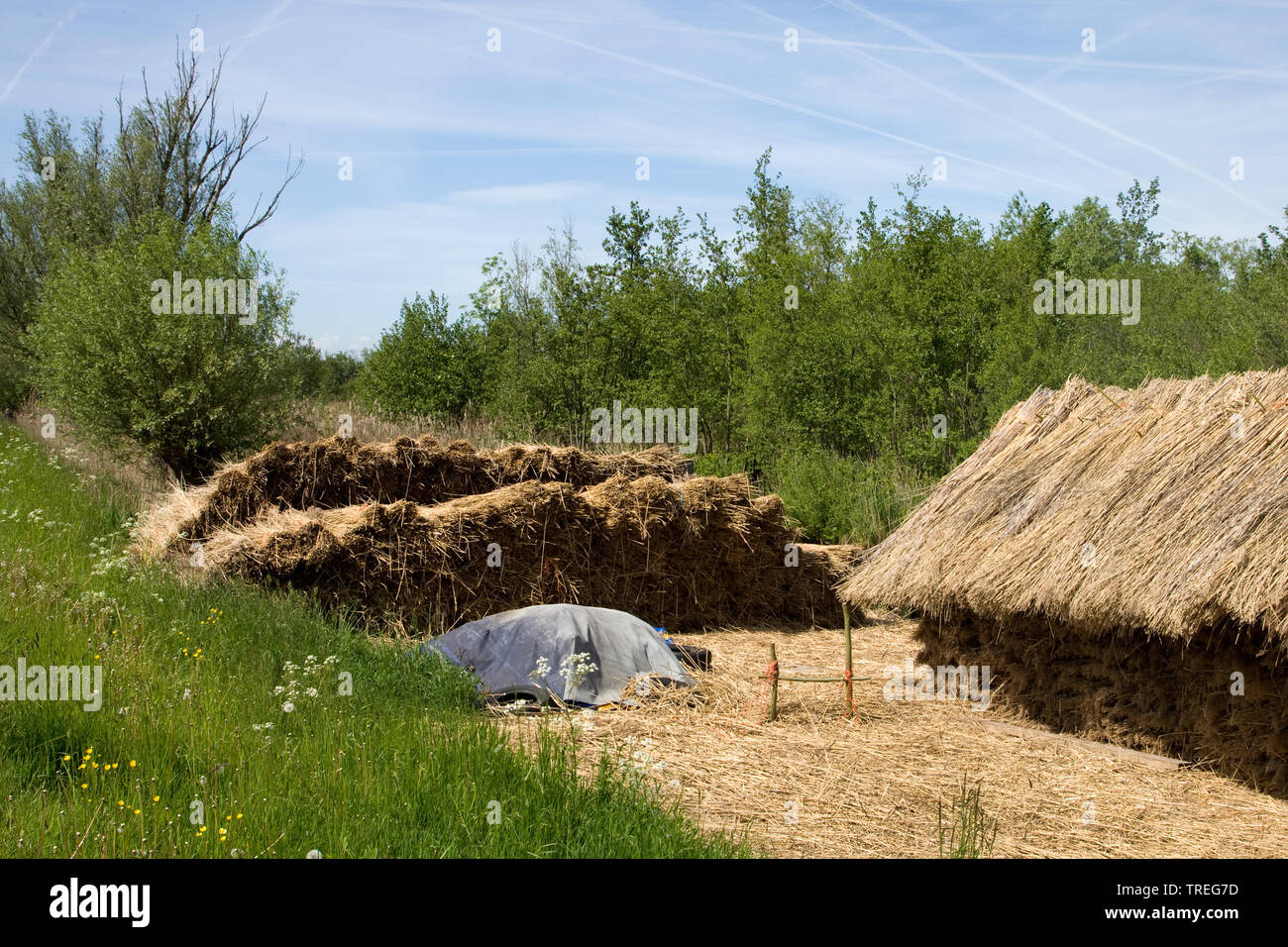 Reed storage hi-res stock photography and images - Alamy