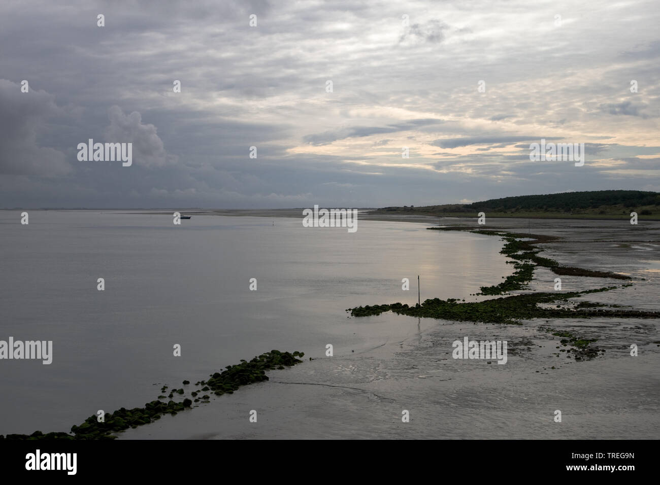 Waddensea at Vlieland in the evening, Netherlands, Frisia, Vlieland ...