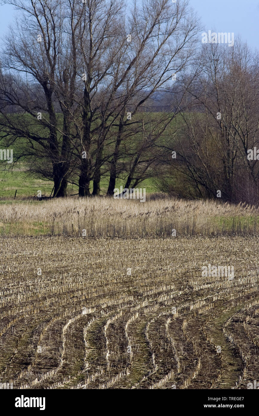 Agricultural economics hi-res stock photography and images - Alamy