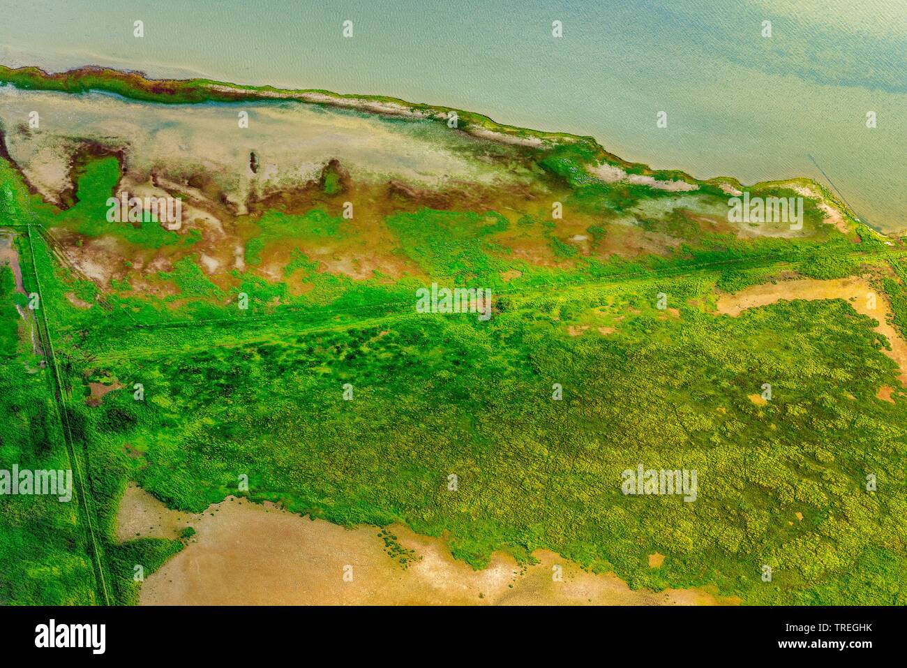 Nationalpark wattenmeer hi-res stock photography and images - Alamy