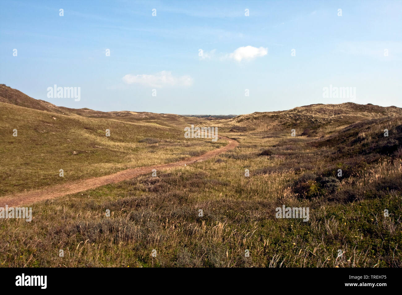 path through dune valley, Netherlands, Texel Stock Photo - Alamy