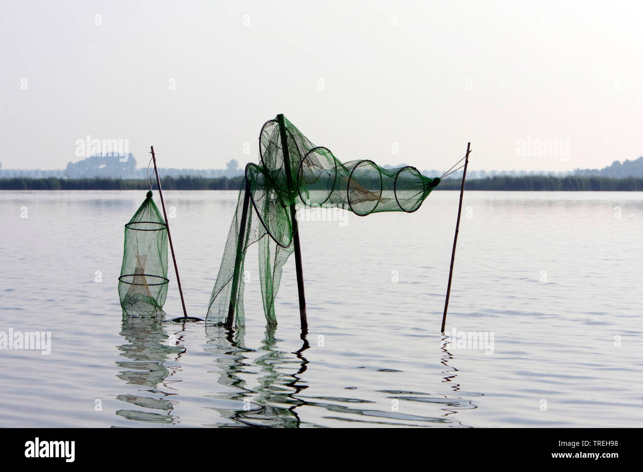 drying fish-traps at nature area Wormer- en Jisperveld, Netherlands ...