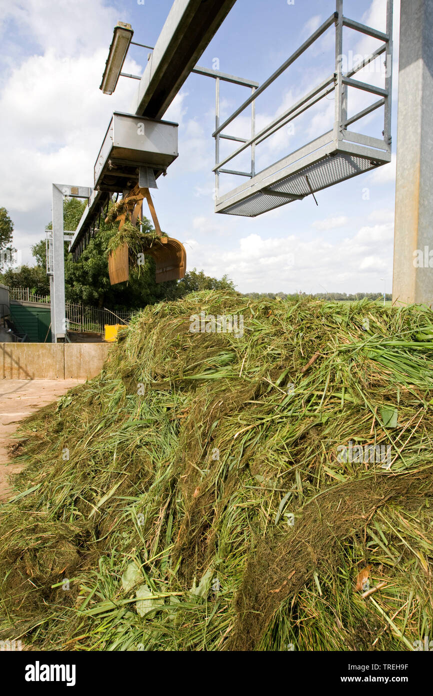 floating trash at a pumping station, Netherlands Stock Photo - Alamy