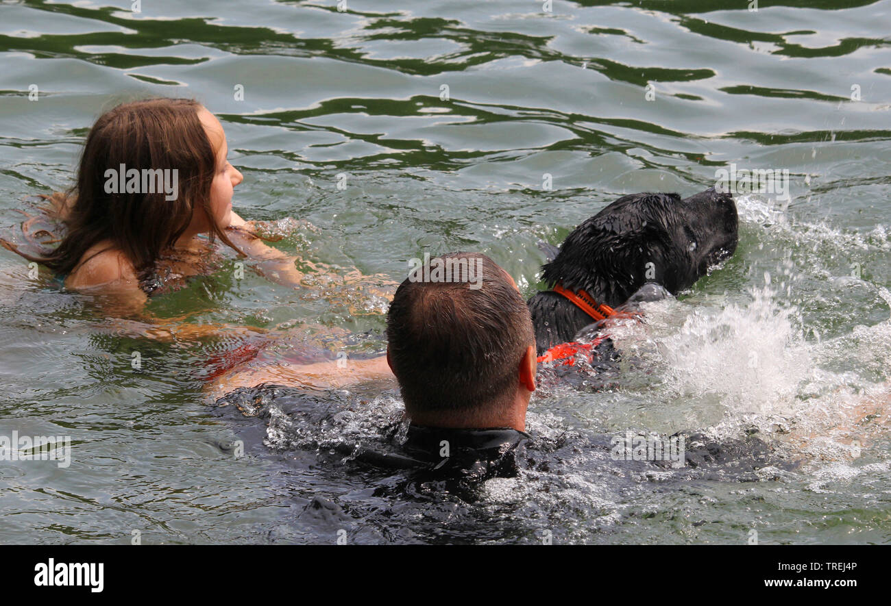 Water rescue dogs hi-res stock photography and images - Alamy
