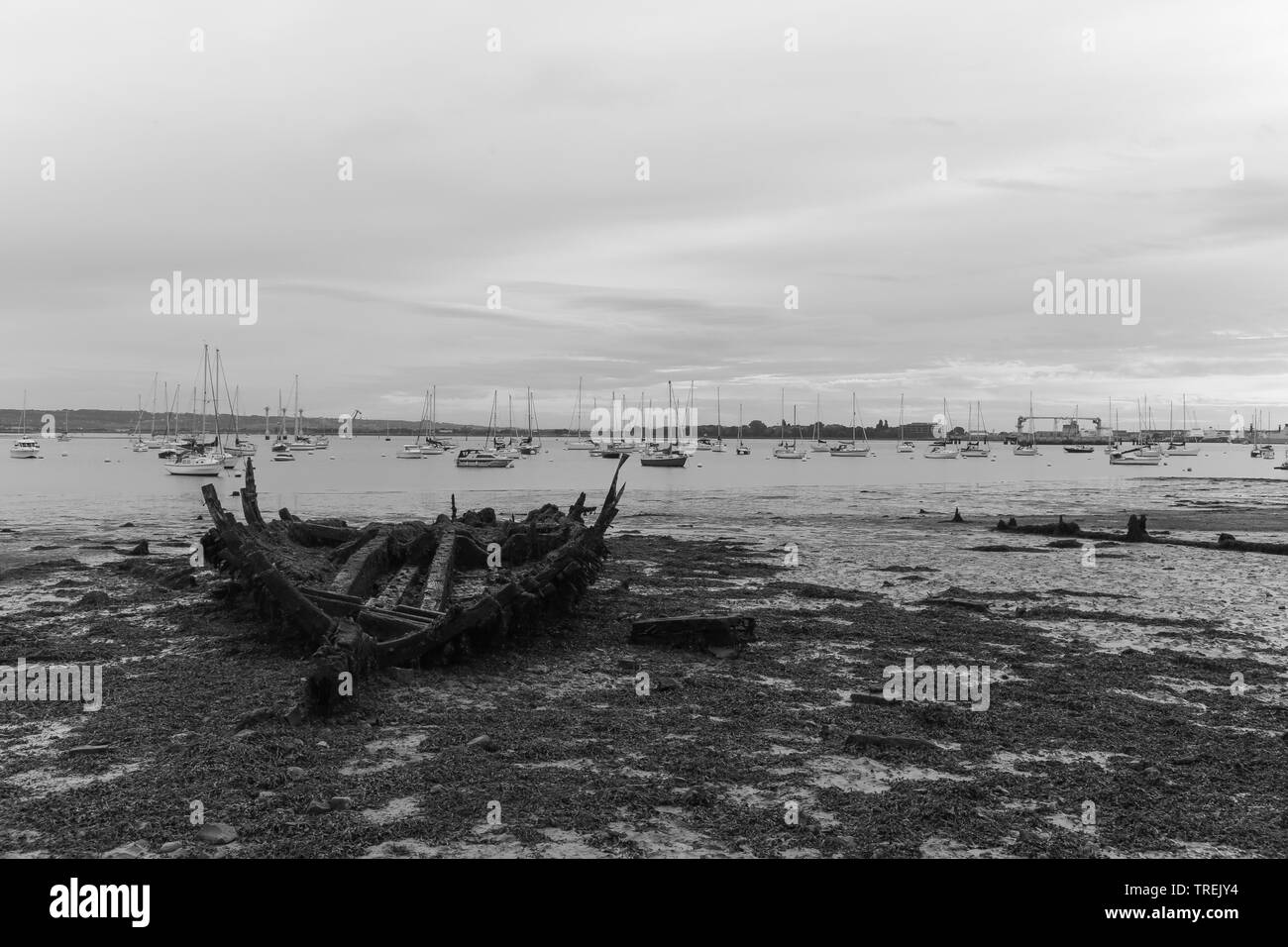 The shipwreck of minesweeper MMS 113 during low tide in Gosport ...