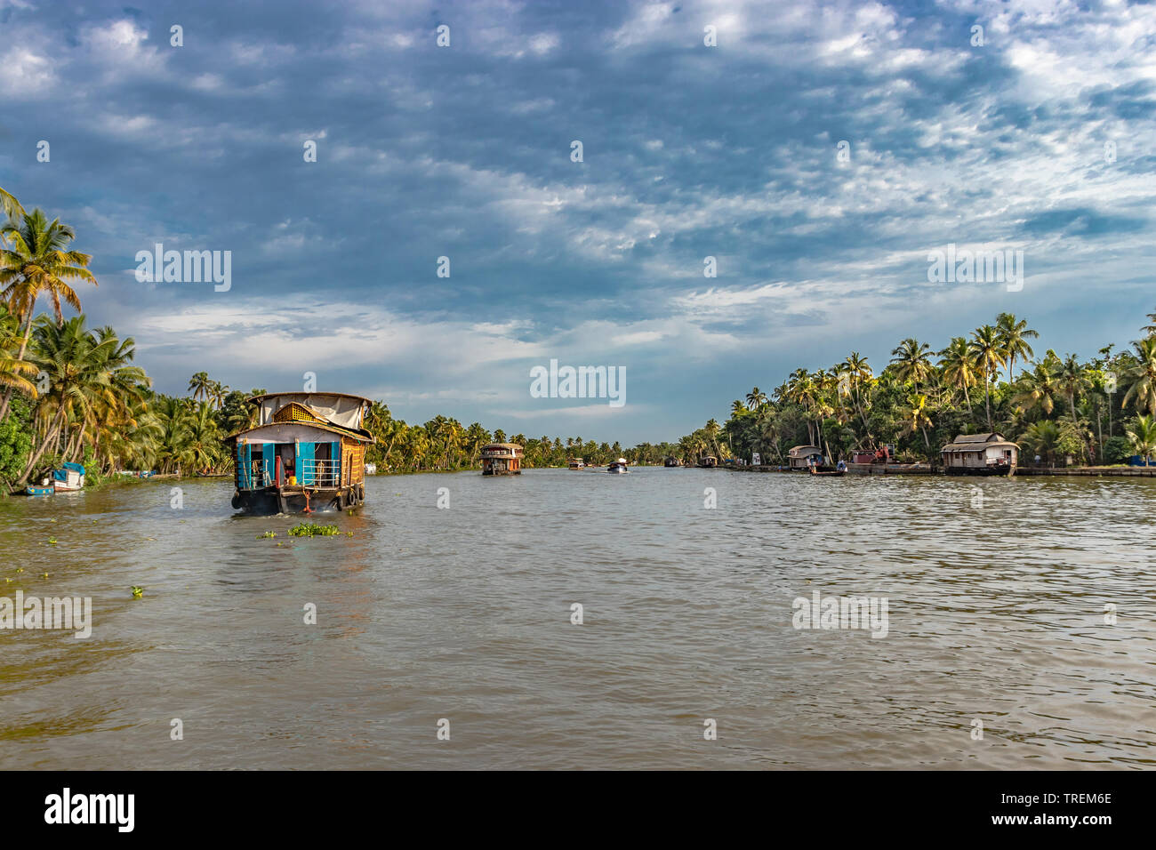 Houseboats in the backwater of alleppey kerala showing the natural ...
