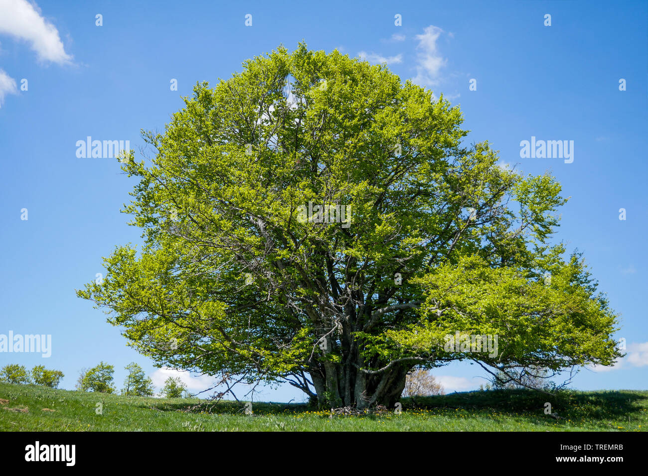 Plateau du Retord, Bugey, Ain, France Stock Photo - Alamy