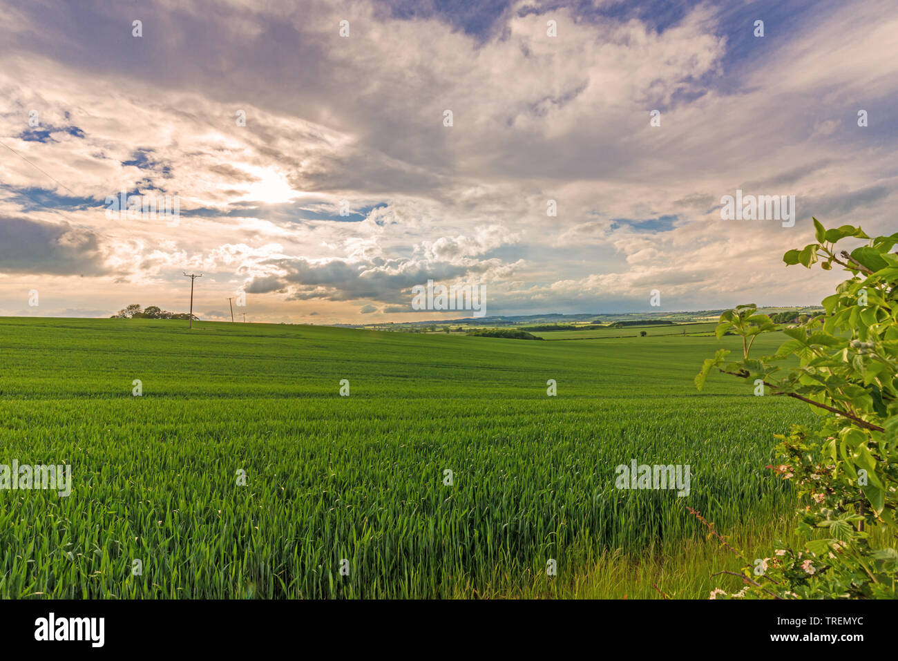 Howardian Hills High Resolution Stock Photography and Images - Alamy