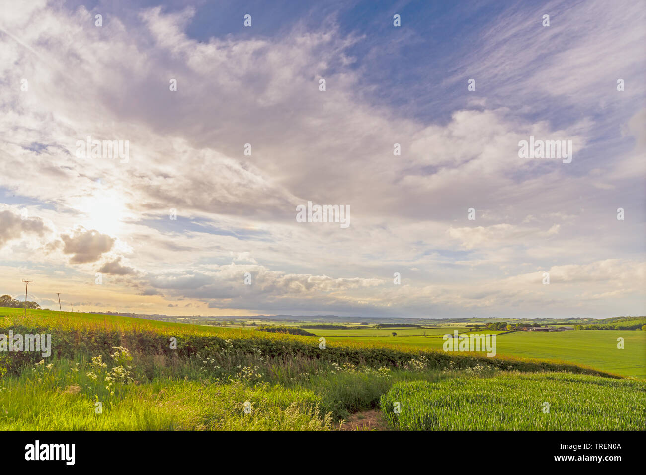Howardian hills hi-res stock photography and images - Alamy