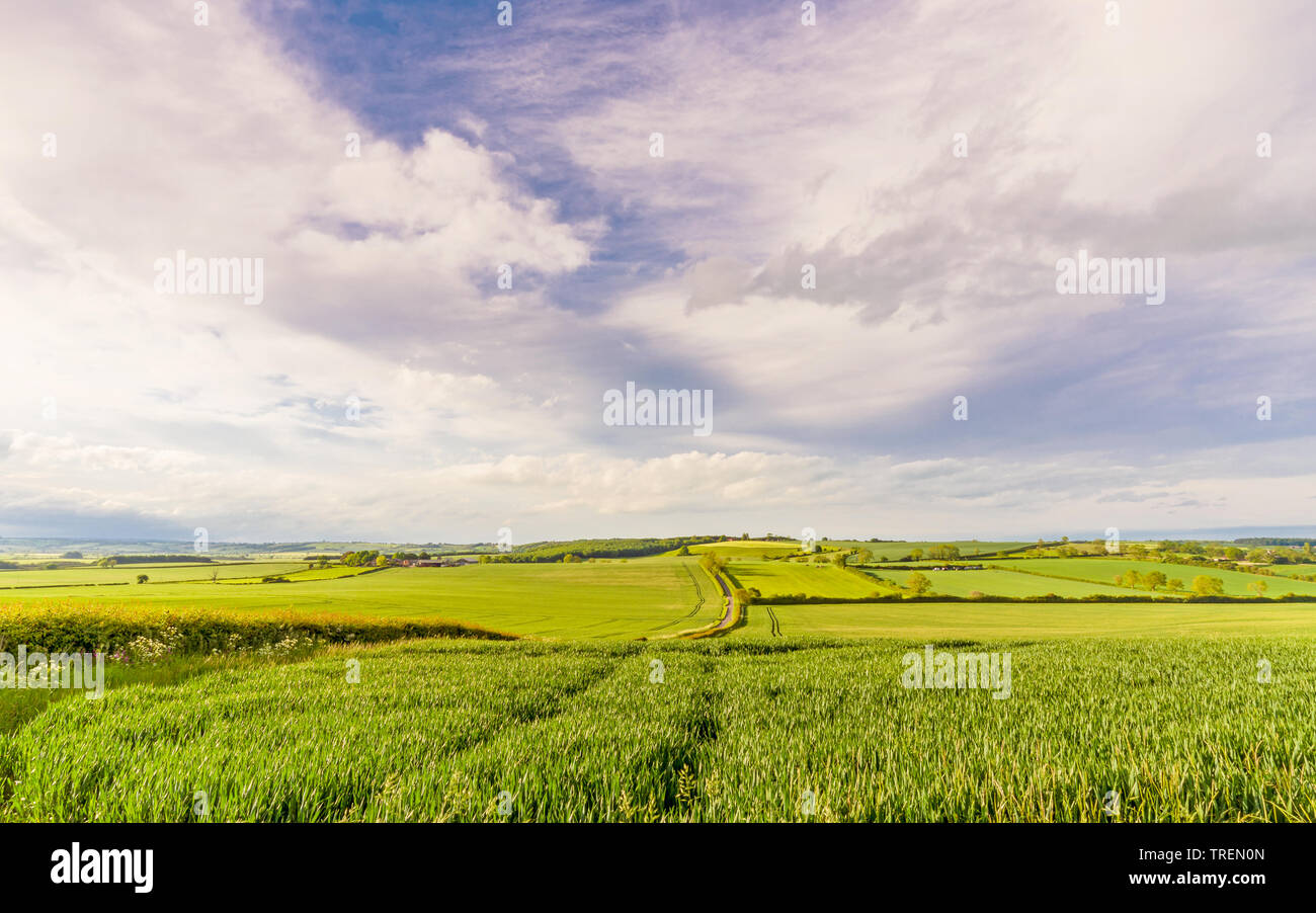 Howardian Hills High Resolution Stock Photography and Images - Alamy