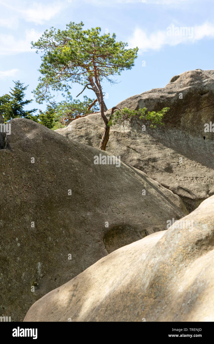 Monadrock hi-res stock photography and images - Alamy