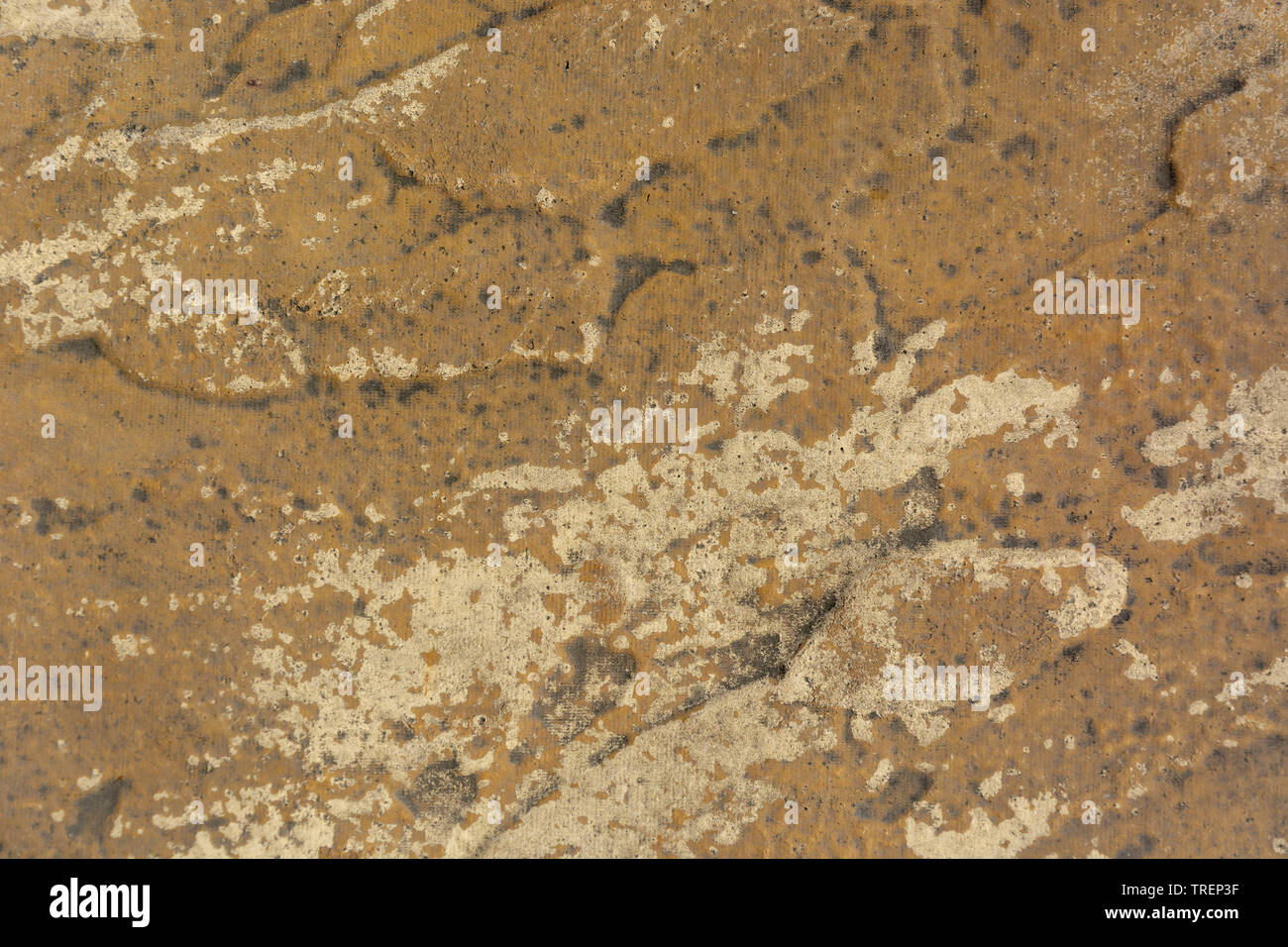 Old weathered brown concrete texture for background Stock Photo - Alamy