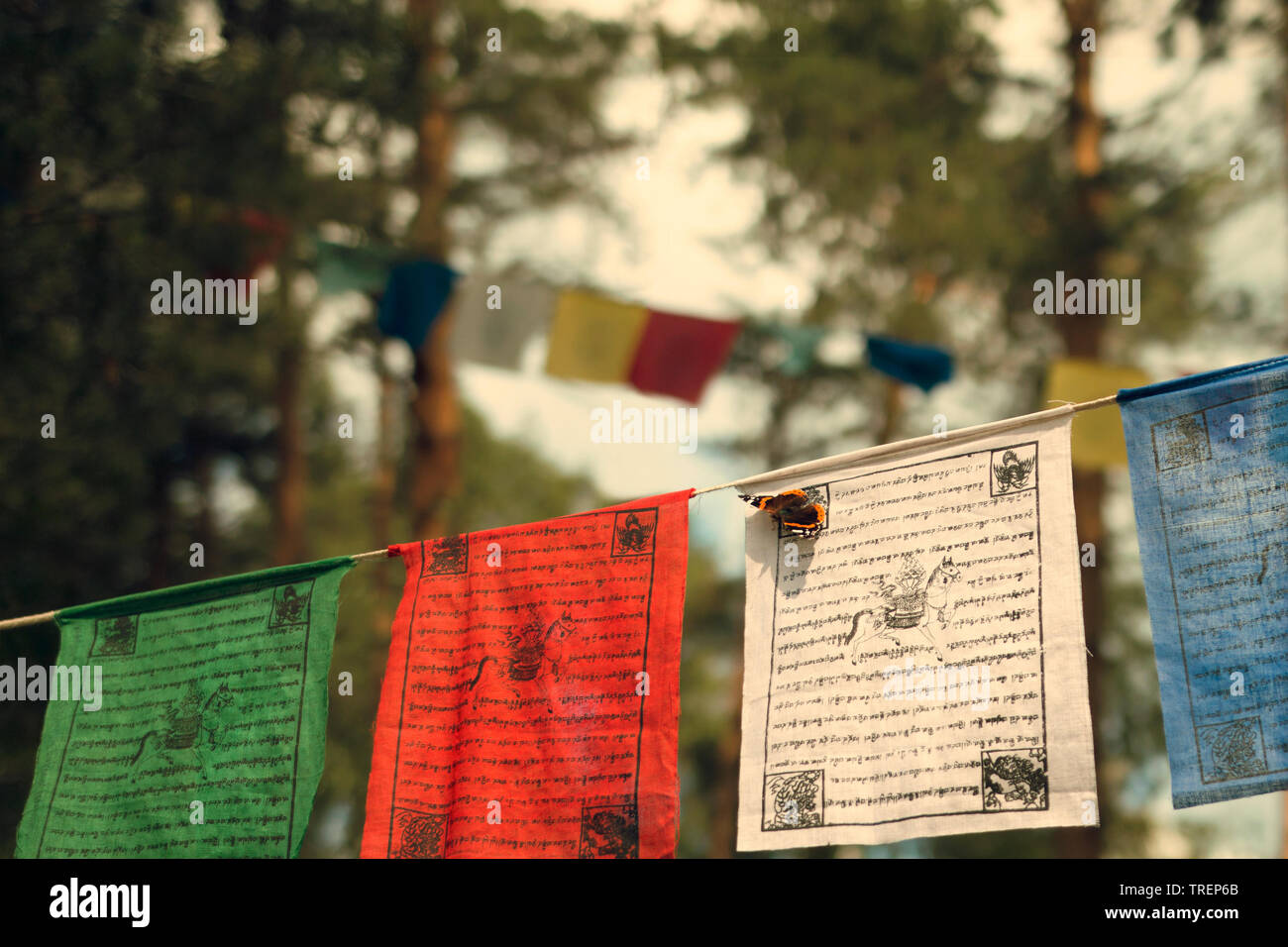 Holy traditional flags of Buddhist philosophy with blurry text, red ...
