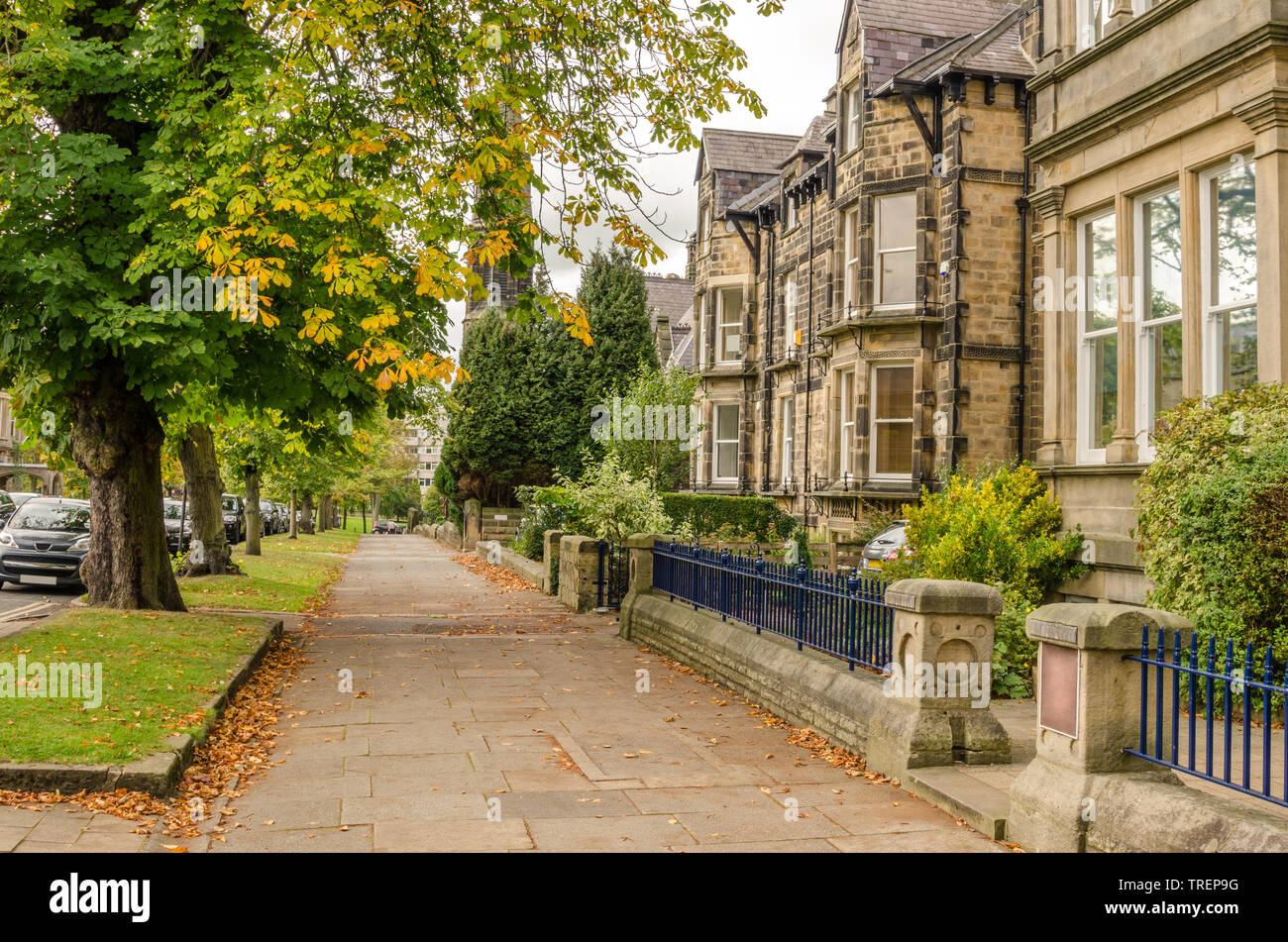 Pavement lined with trees and traditional British terraced houses on a ...