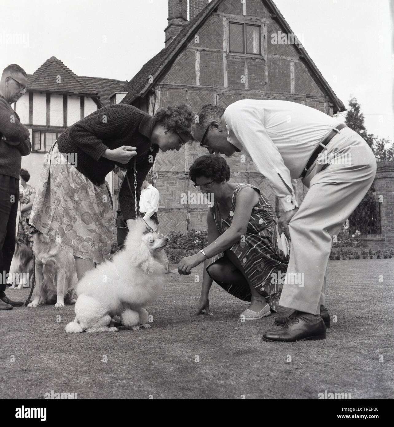 1967, historical, at a village fete, a dog competition, owner with the ...