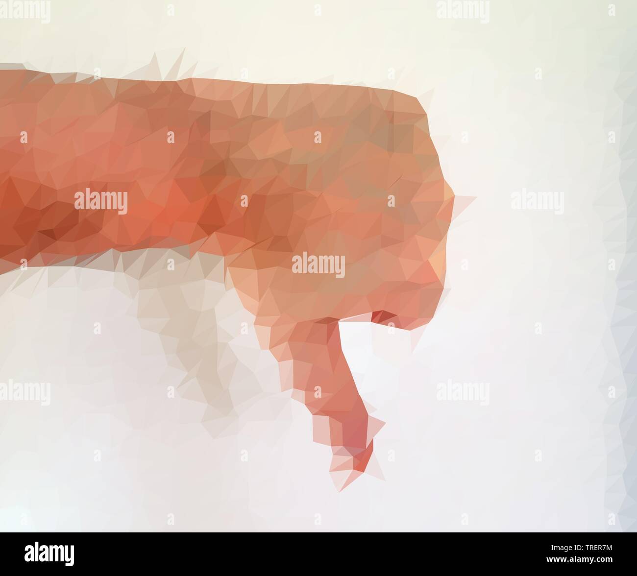 Male human polygonized hand showing different gestures Stock Photo - Alamy