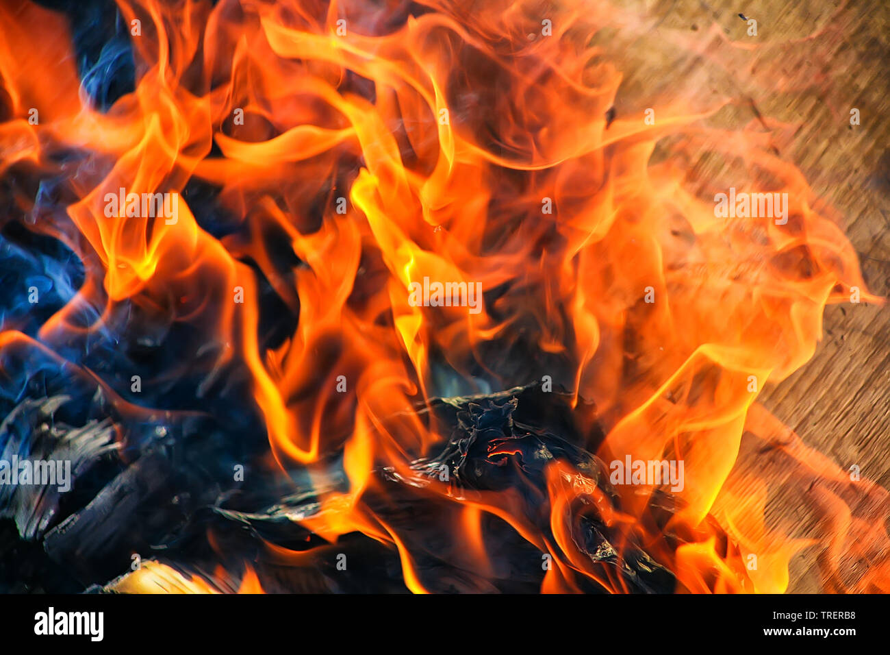 Burnt Birch Tree High Resolution Stock Photography and Images - Alamy
