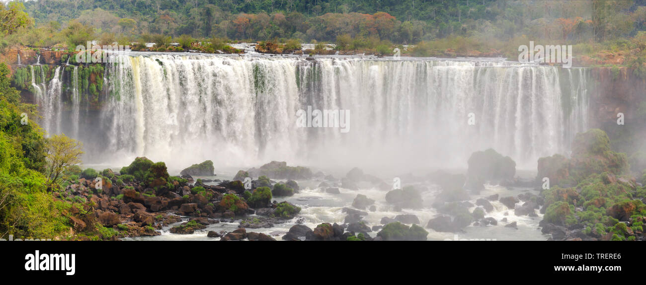 overview of landscape to iguacu waterfalls in Brazil Stock Photo - Alamy