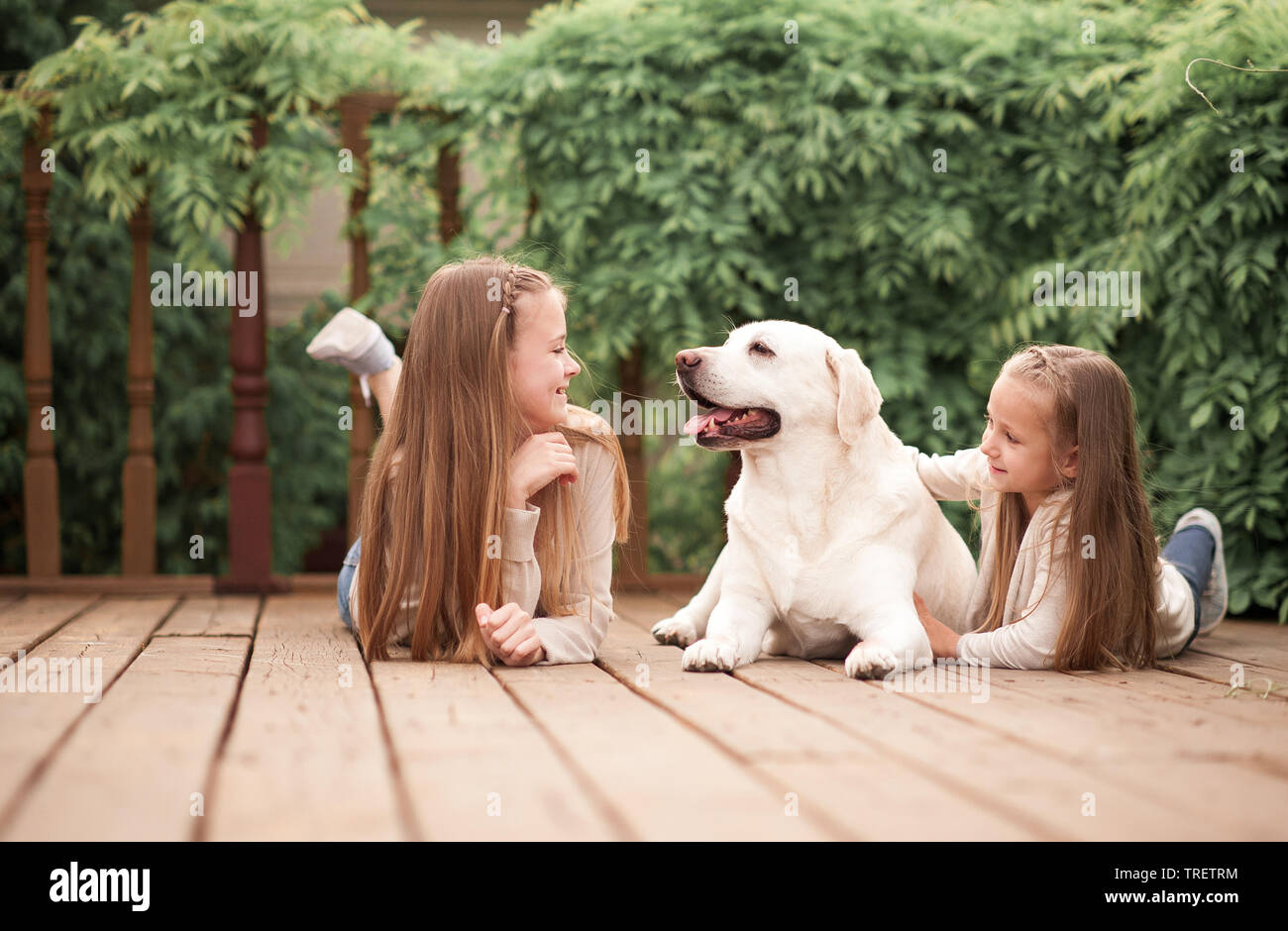 Teen with her labrador hi-res stock photography and images - Alamy