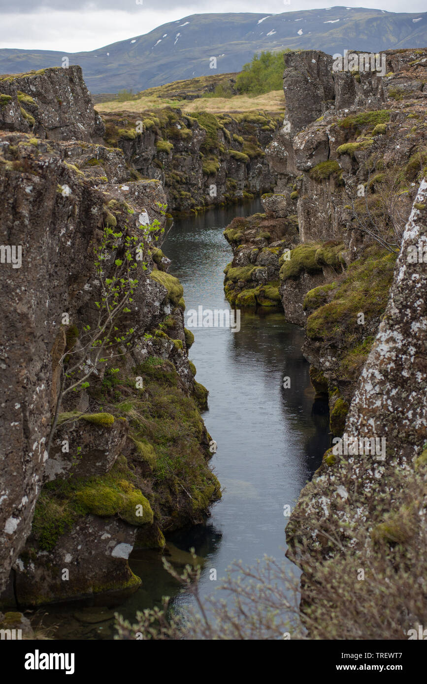 Silfra is a fissure between the North American and Eurasian tectonic ...