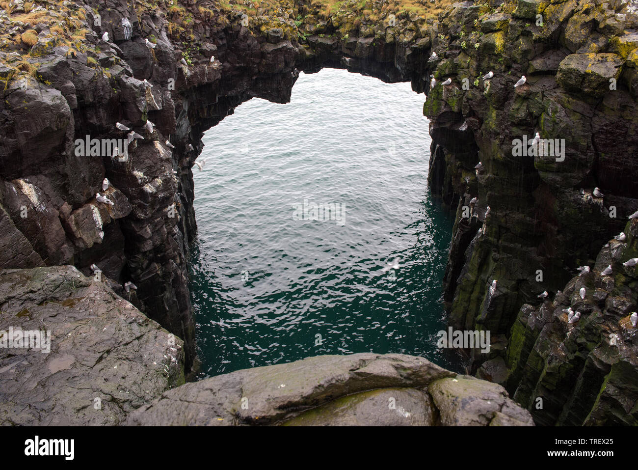 Gatklettur arnarstapi in iceland hi-res stock photography and images ...