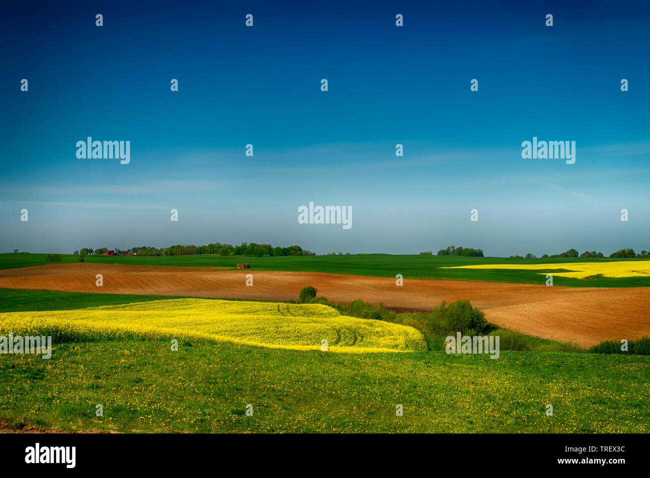 Agricultural landscape with rolling hills, ploughed farm field, meadow ...