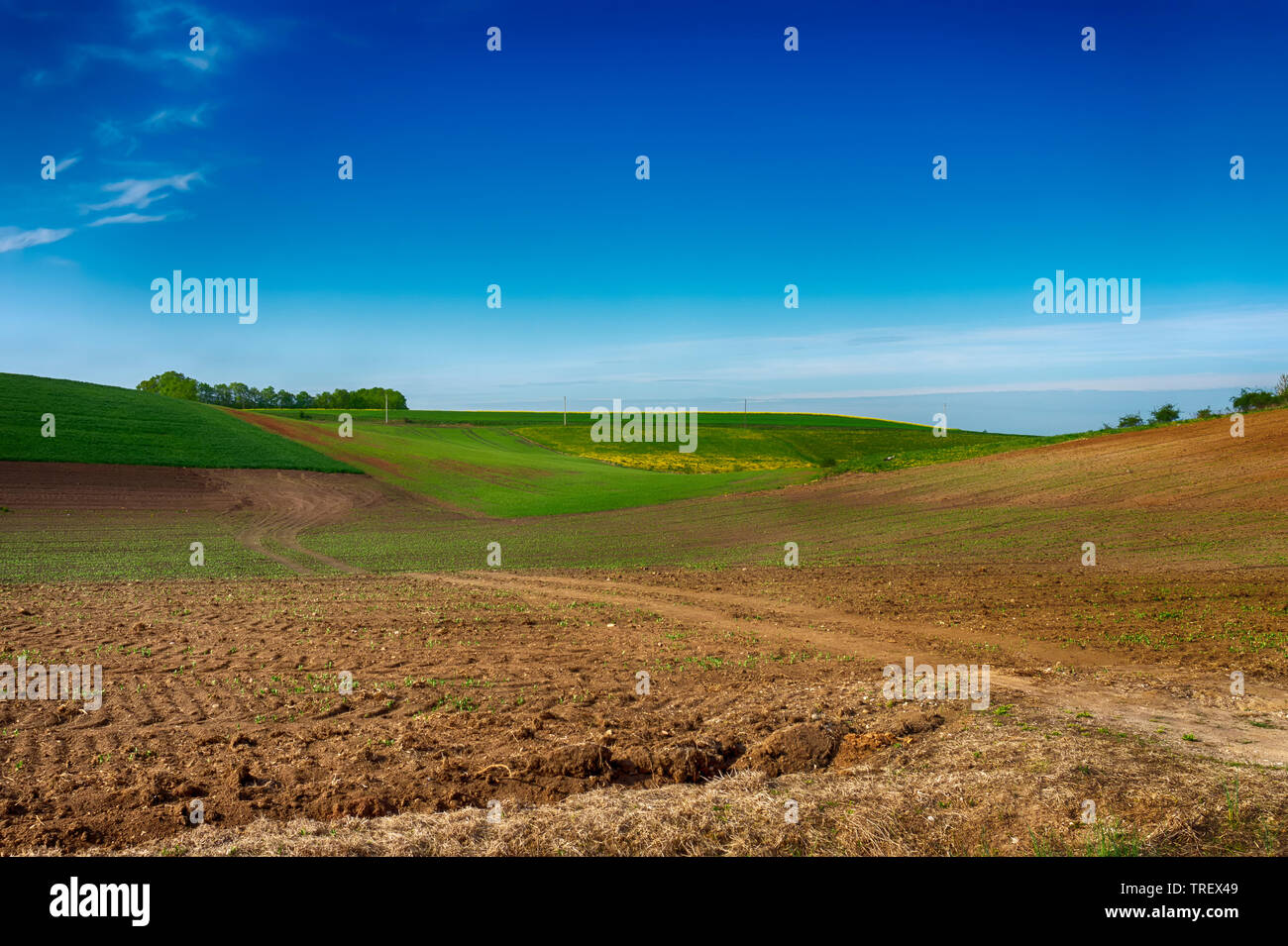 Agricultural landscape with rolling hills, ploughed farm field, meadow ...