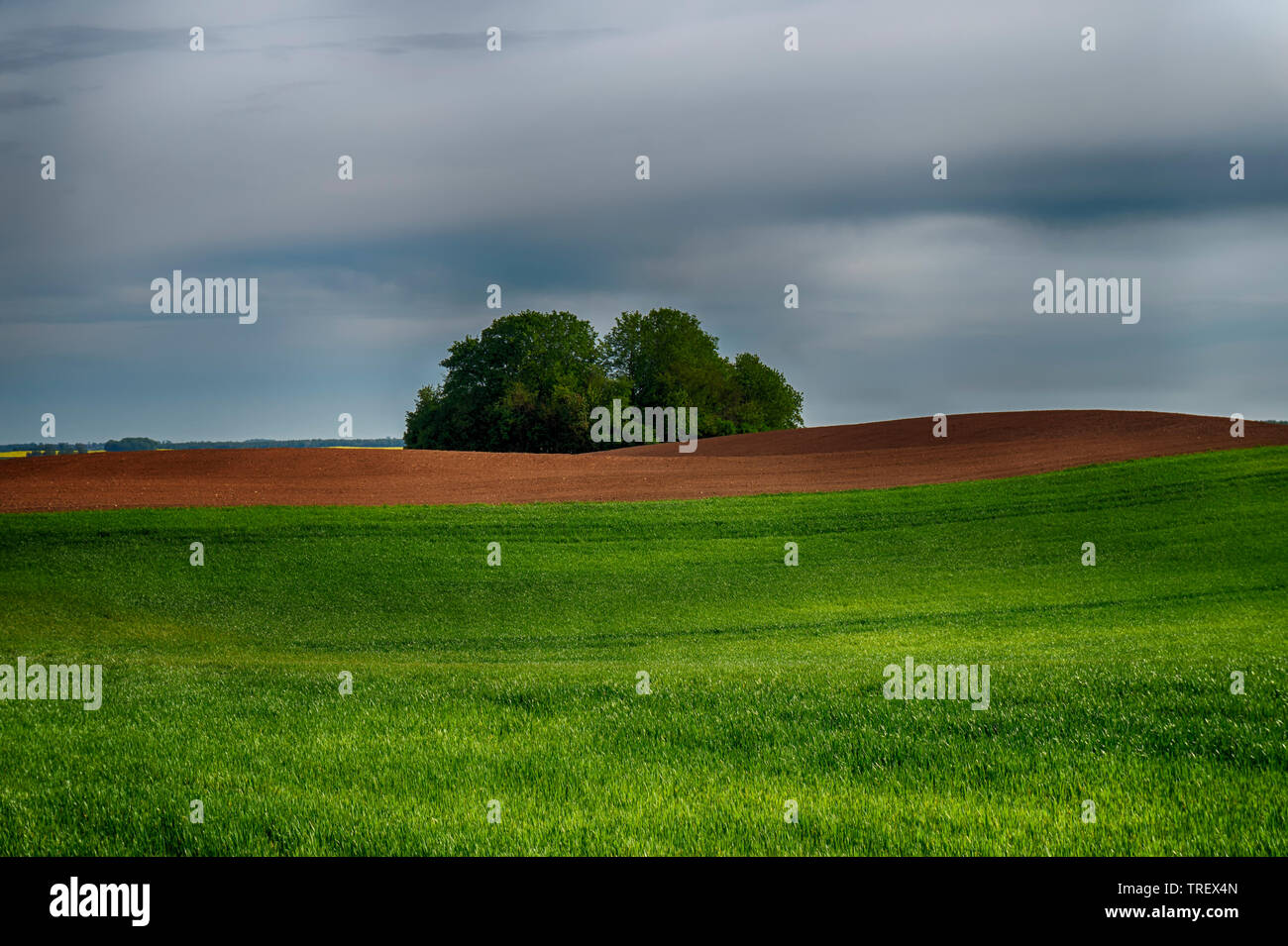 Agricultural landscape with rolling hills, ploughed farm field, meadow ...