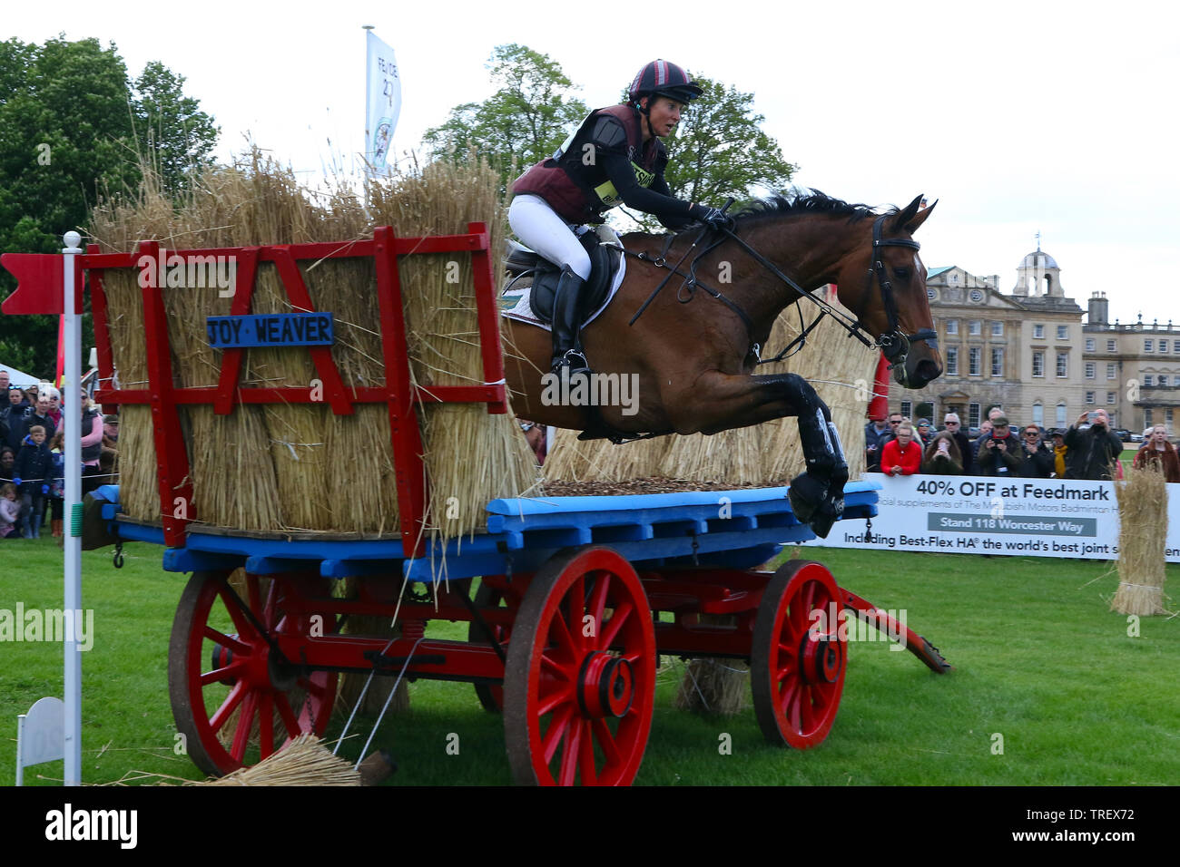 Sarah Bullimore - Reve du Rouet - Cross Country Badminton Horse Trials ...