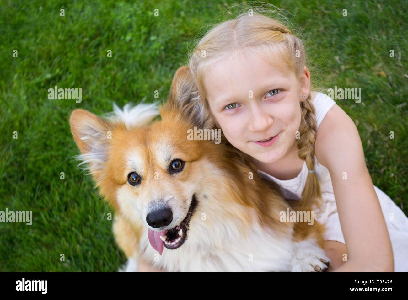 beautiful fun blond girl and corgi fluffy sit on the lawn Stock Photo ...