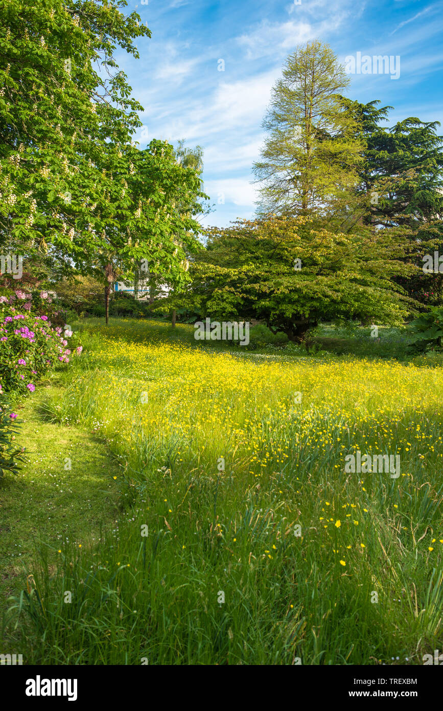 Gardens river bournemouth hi-res stock photography and images - Alamy
