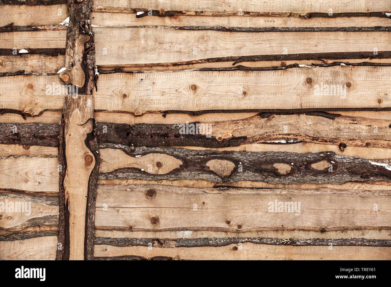 Rough wooden wall background texture, close up photo. Uncolored pine ...